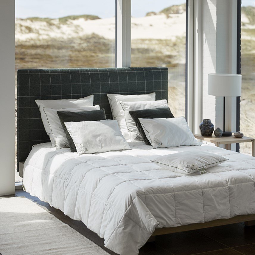 Cornfiber adult pillow - Cocoon Company